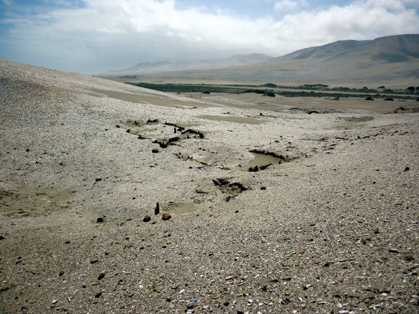 Old piles of shells reveal ancient El Niño patterns