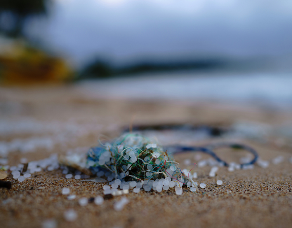 Earth Science Week Webinars