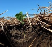 AGI & NRCS Collaboration